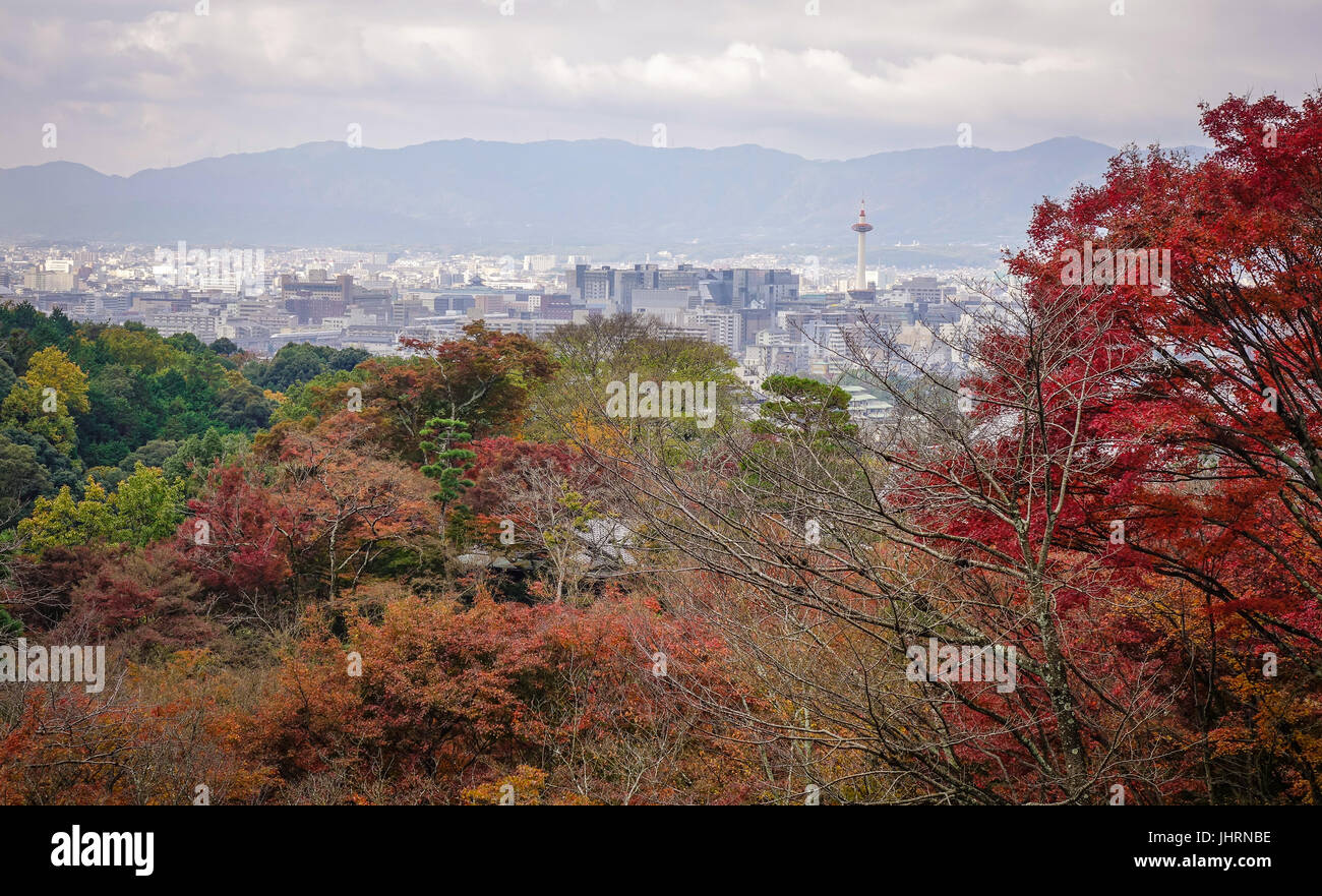 Aerial view of downtown with many autumn trees in Kyoto, Japan Stock ...