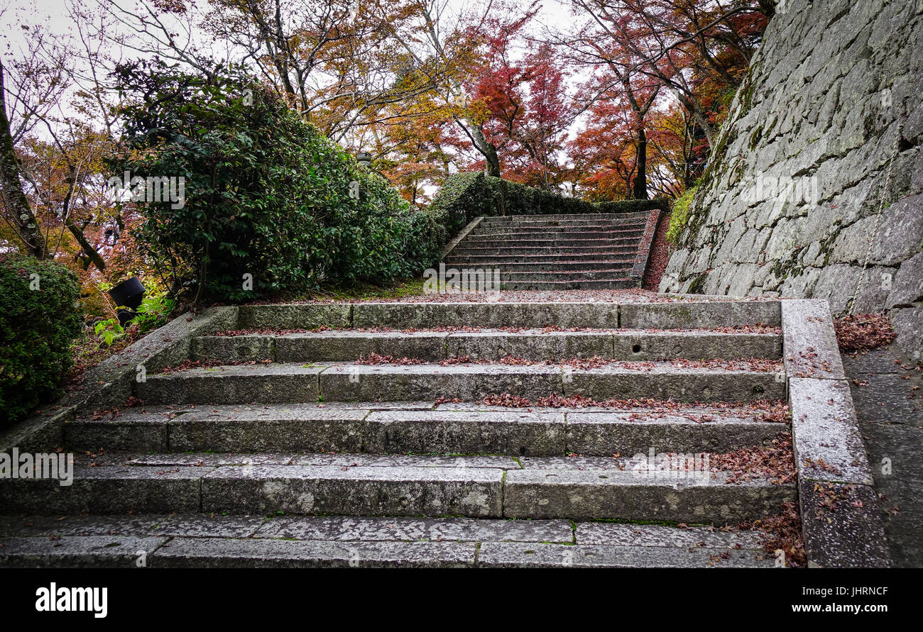 Concrete stair with stone wall at the Shinto temple in Kyoto, Japan ...