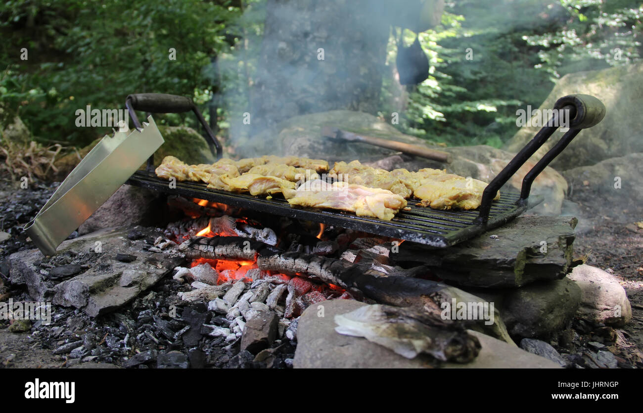 Barbecue in nature Stock Photo - Alamy