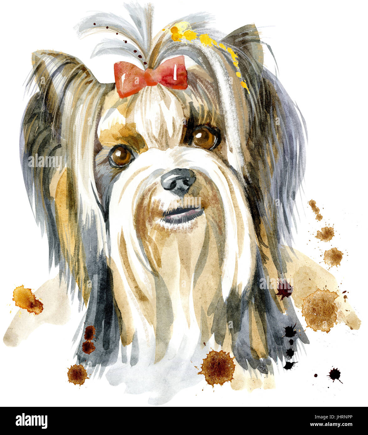 Dog, yorkie on white background. Hand drawn sweet pet illustration ...