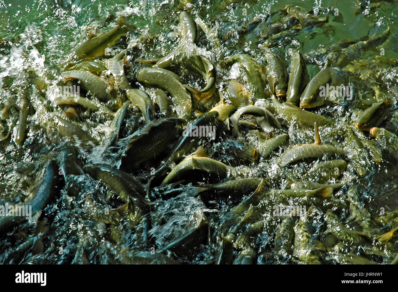 Mud lake historical hi-res stock photography and images - Alamy