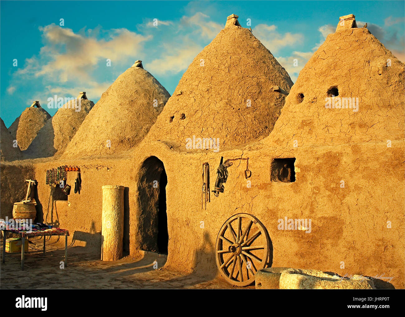 Beehive Homes's Instagram, Twitter & Facebook on IDCrawl