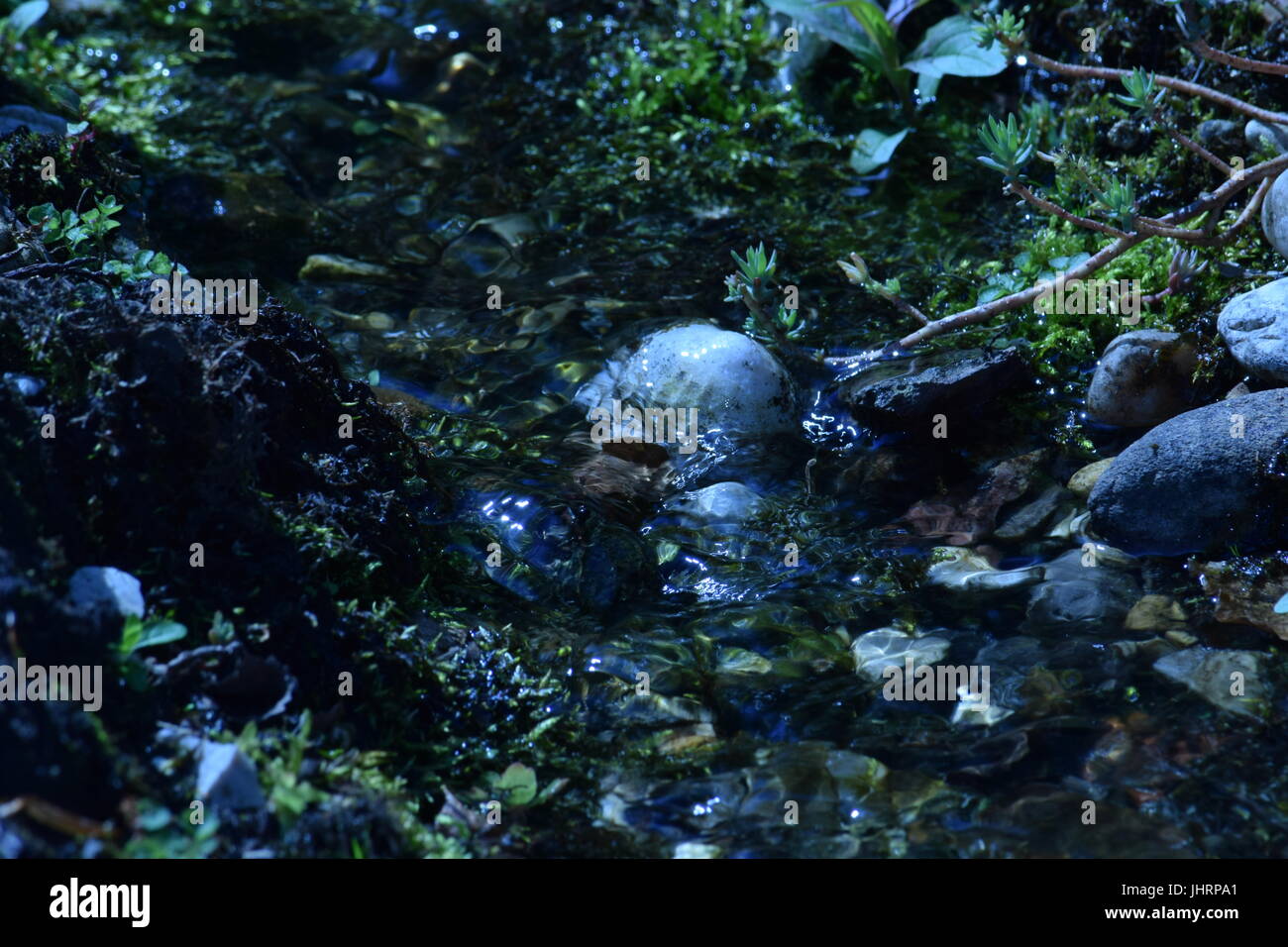 Sunlight on a stream Stock Photo - Alamy