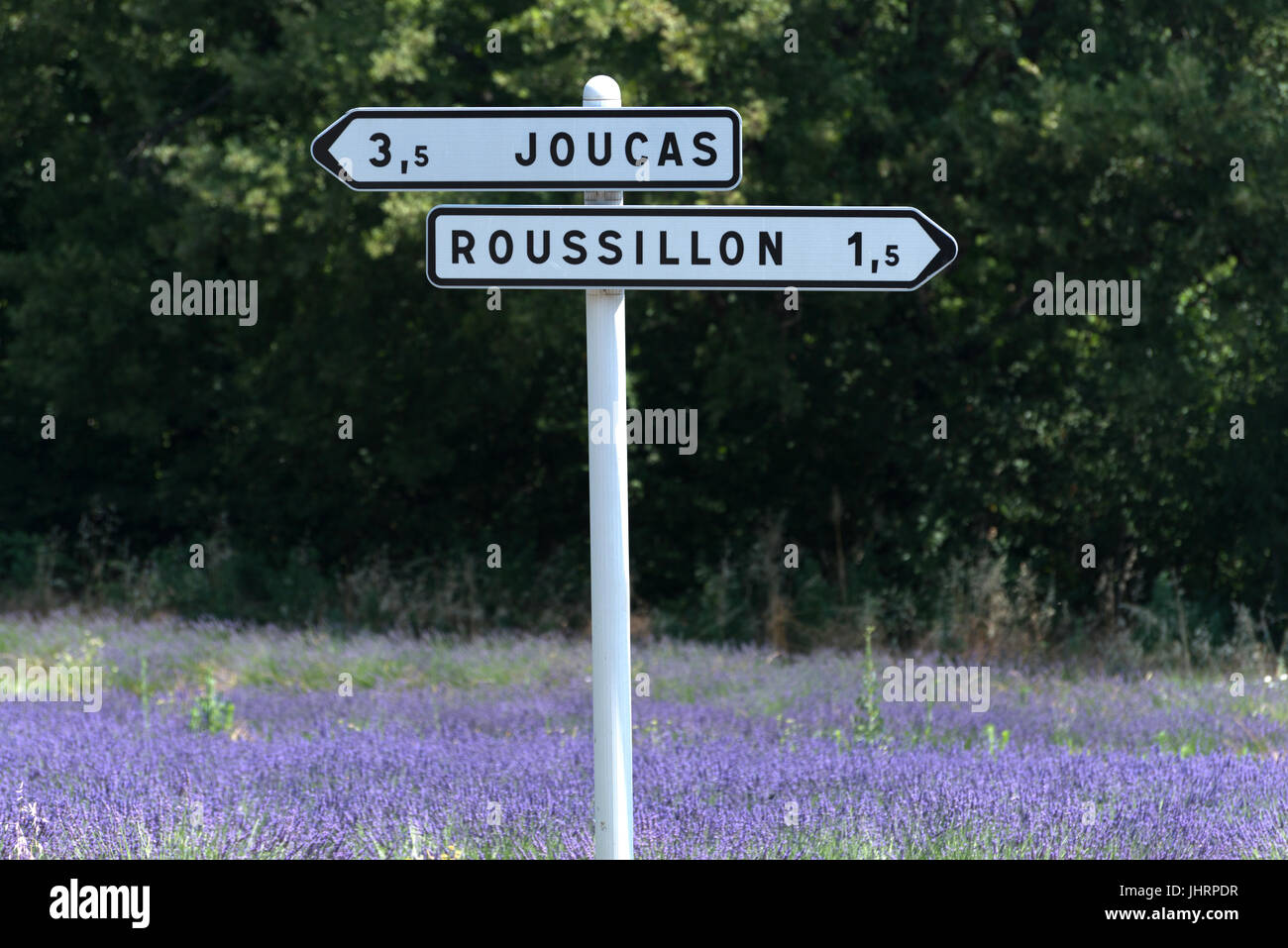 Lavender fields-traffic sign Roussillon, Provence France Stock Photo ...
