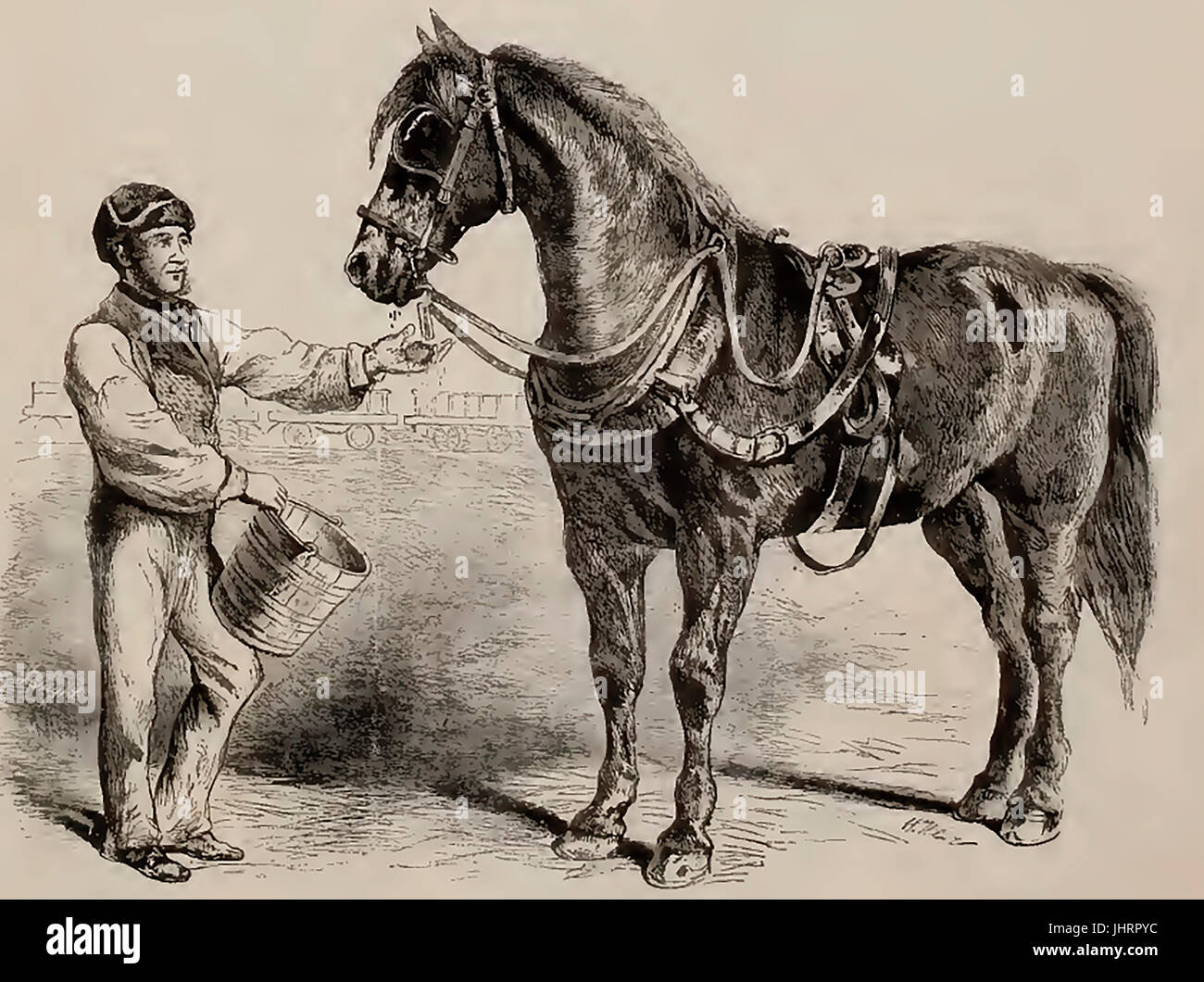 Jockey colours hi-res stock photography and images - Alamy