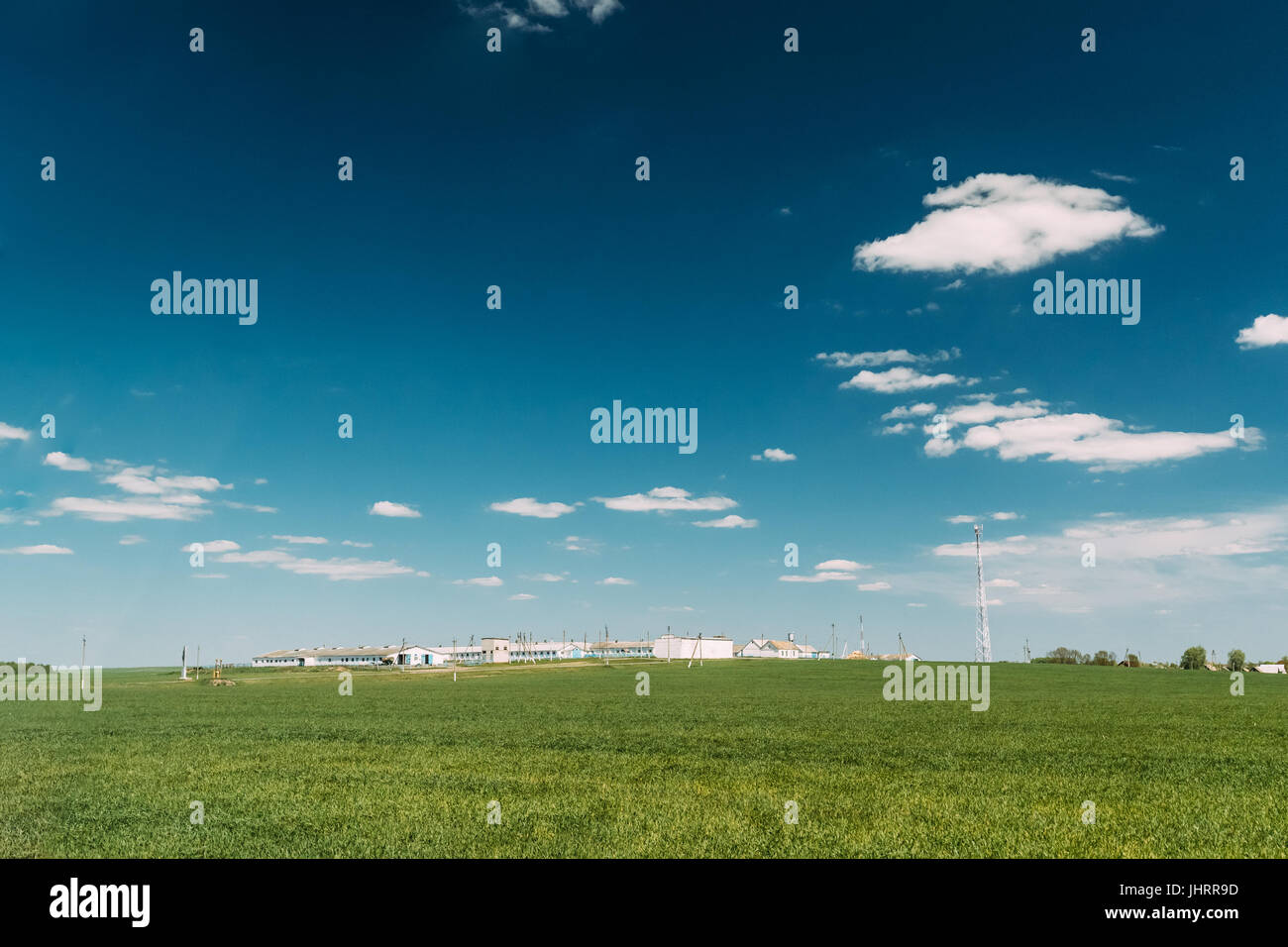 Green Field In Spring Season. Agricultural Rural Landscape At Evening ...