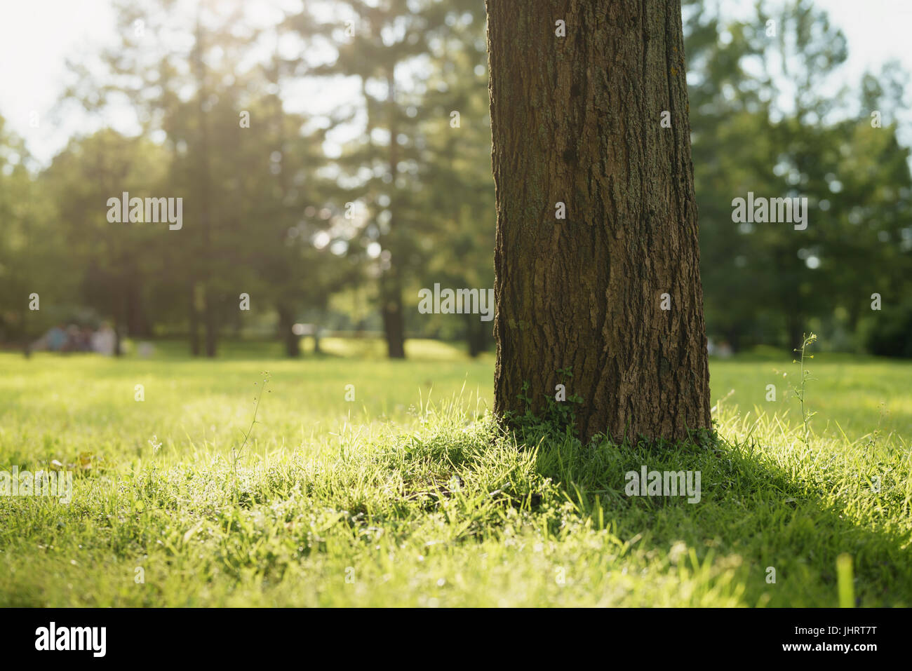 Meadow in city hi-res stock photography and images - Alamy
