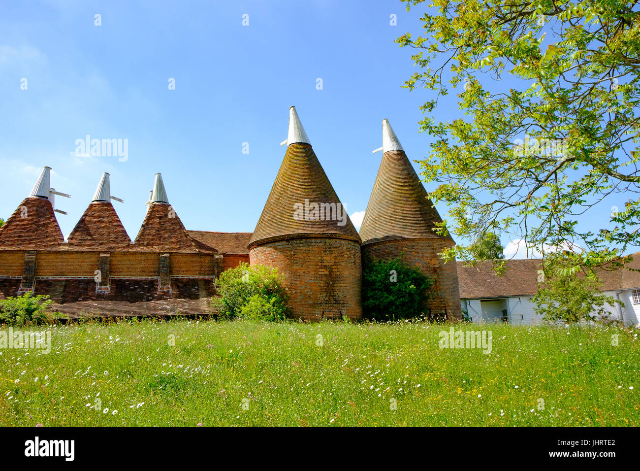 Hop kilns hi-res stock photography and images - Alamy