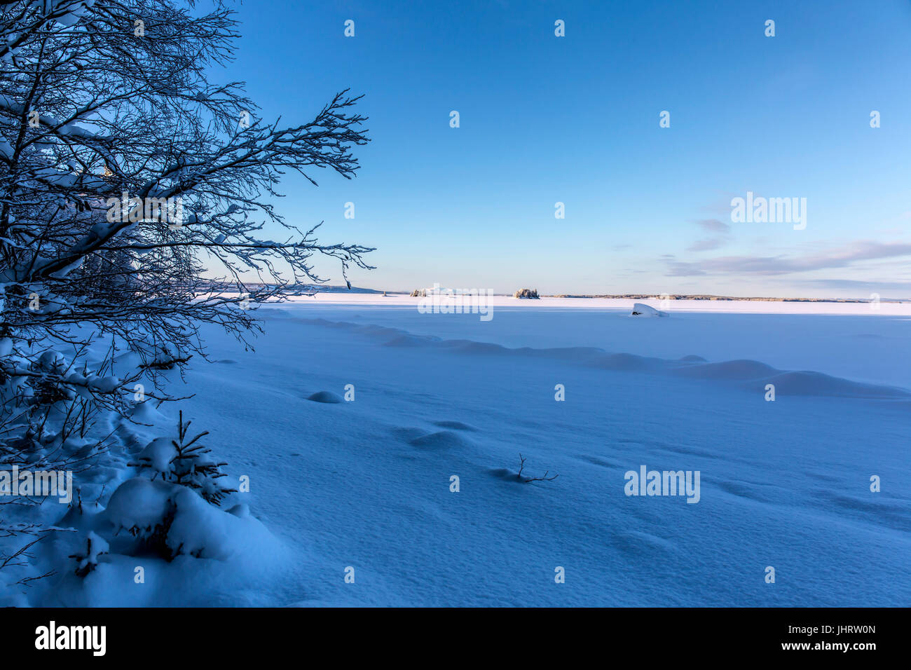 Frost white hi-res stock photography and images - Alamy