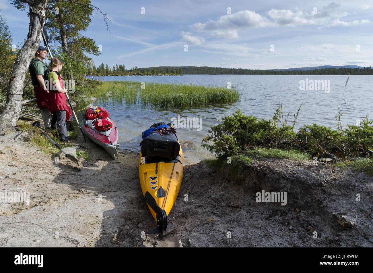 Pair looks over the lake roe, natural reserve roe, Haerjedalen, Sweden ...