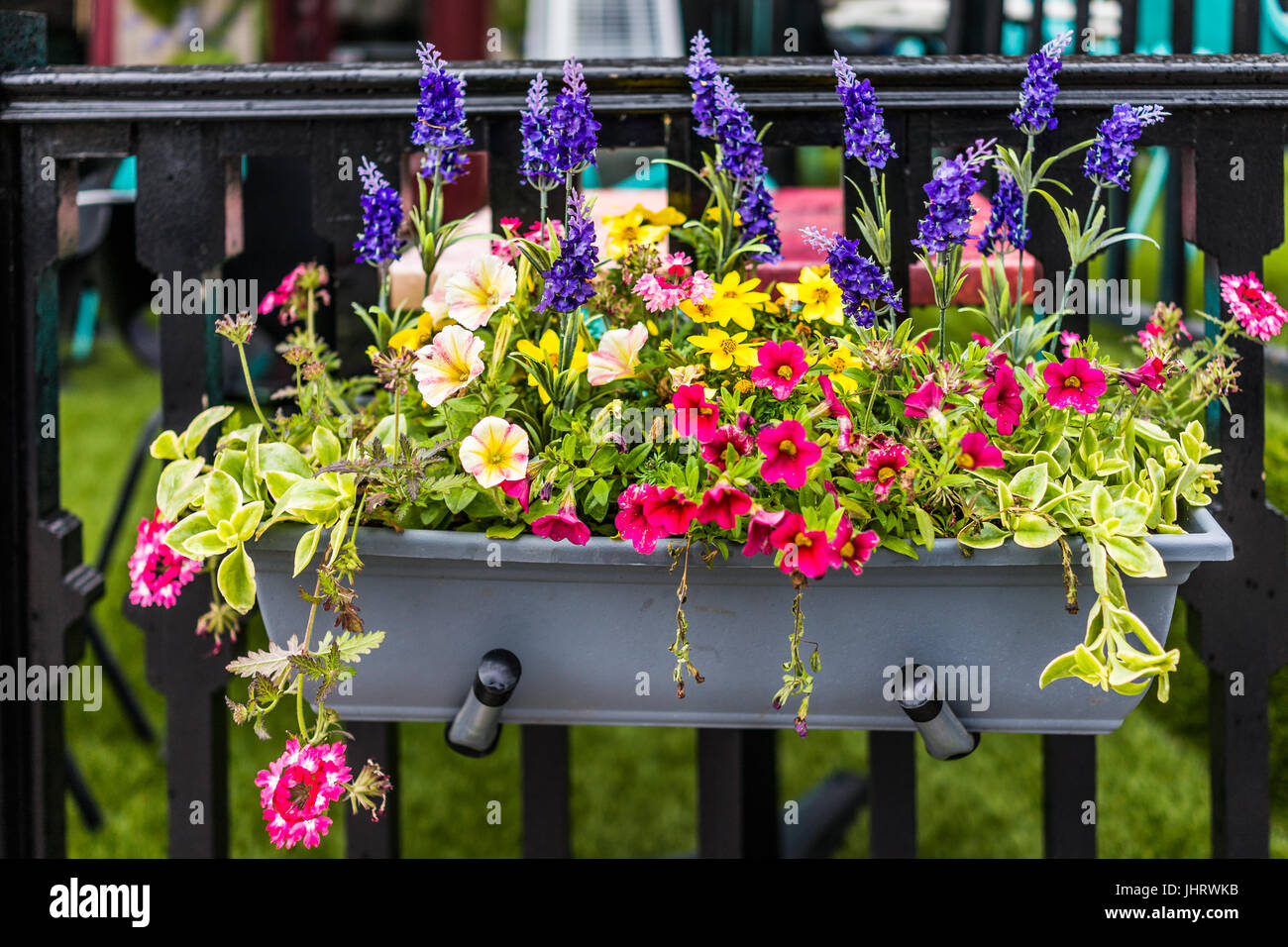 Hanging flower pots fence hi-res stock photography and images - Alamy