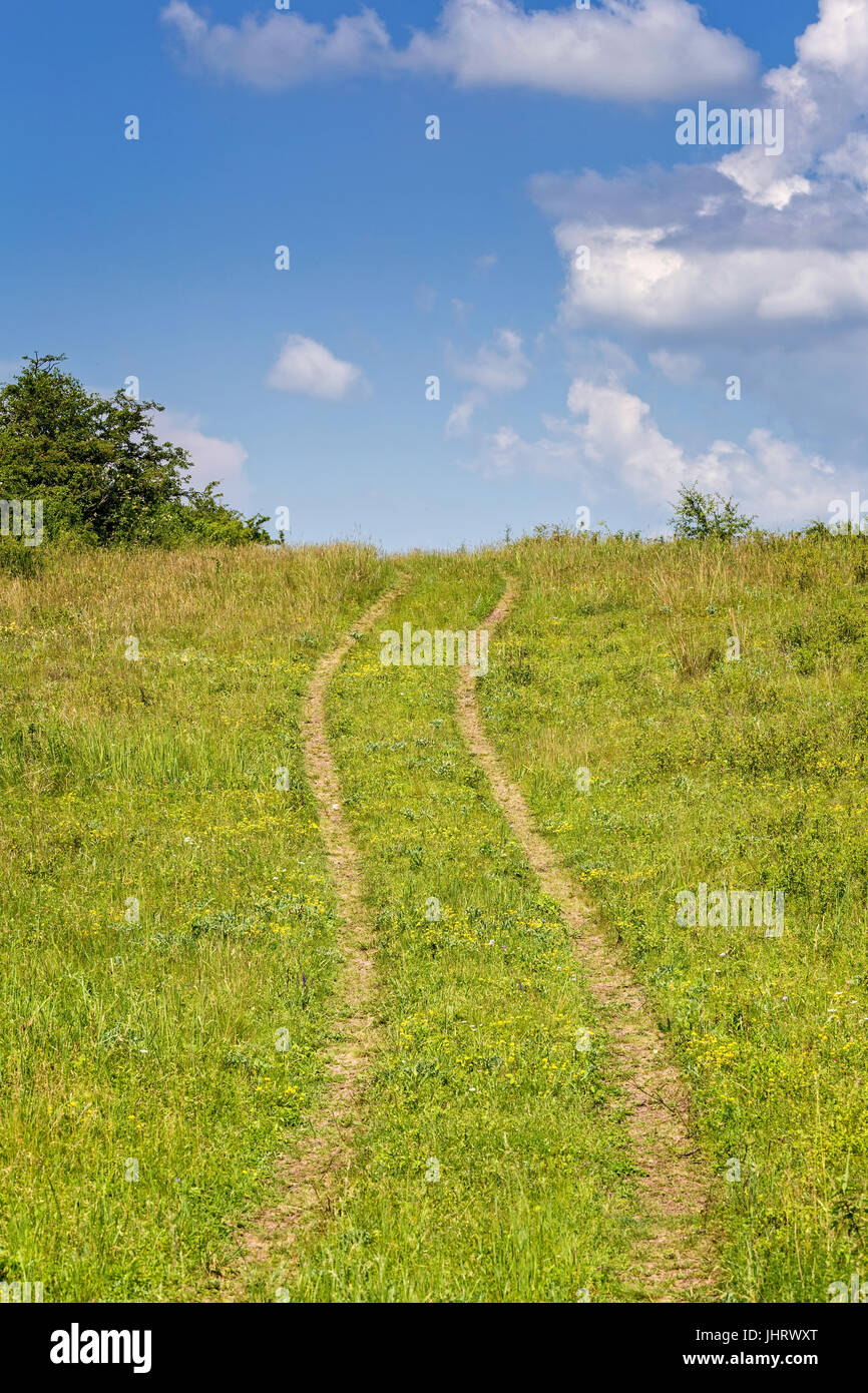 Summer landscape with yellow grass and road Stock Photo - Alamy