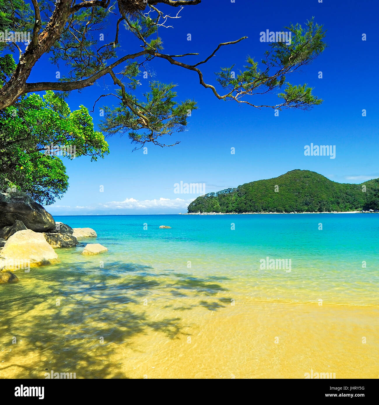 "Bark Bay, Abel Tasman Nationalpark, Tasmansee, Nelson Region, south ...