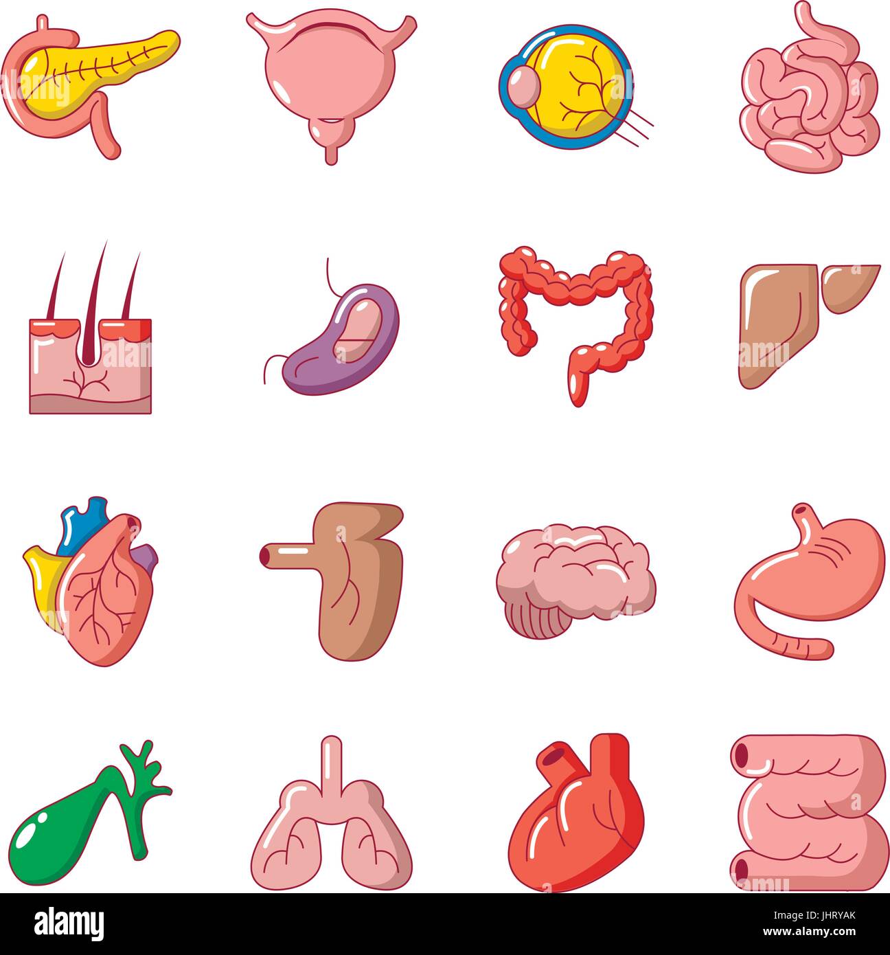 Digestive System Cartoon High Resolution Stock Photography and Images ...