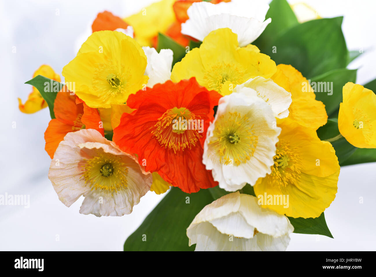 Spring colored flowers Bouquet. Spring abstraction Stock Photo - Alamy