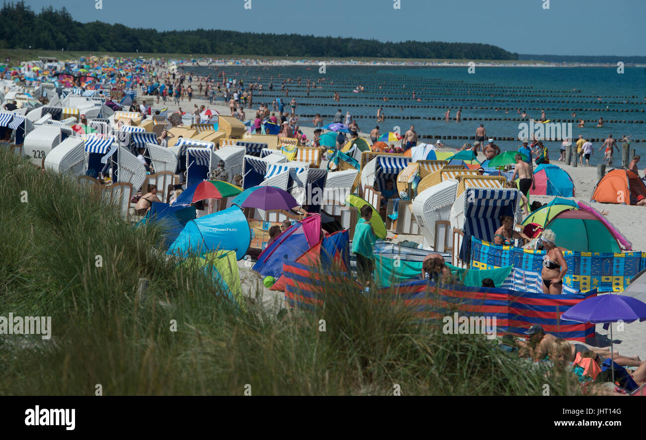 Zingst, Germany. 15th July, 2017. Many tourists enjoy the sunny weather ...