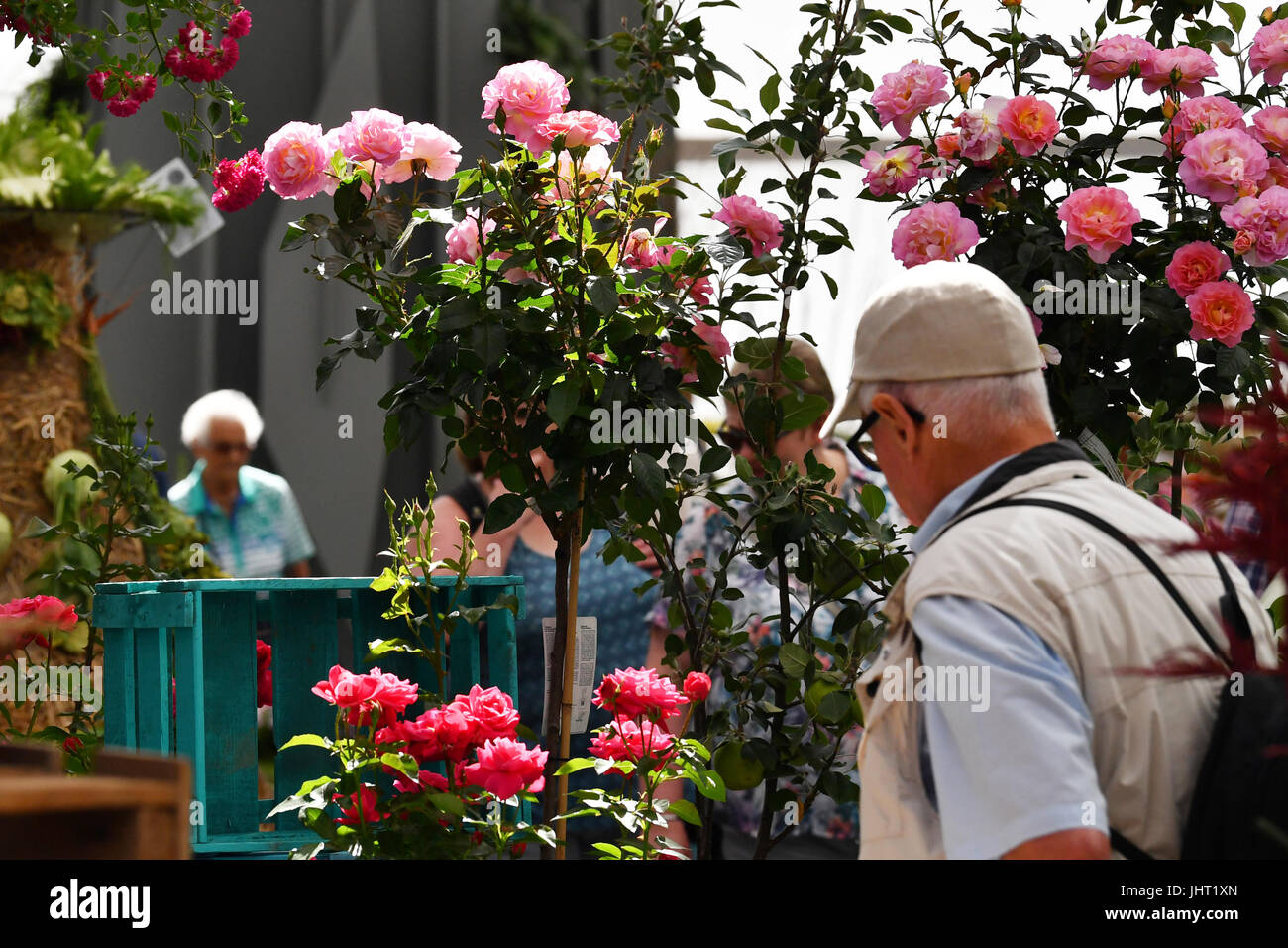Berlin, Germany. 15th July, 2017. Visitors walk through the flower hall ...