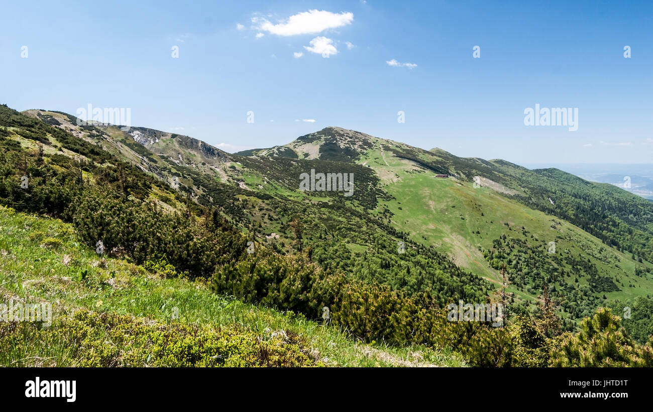Mala Fatra mountain range panorama with highest Velky Krivan hill from ...