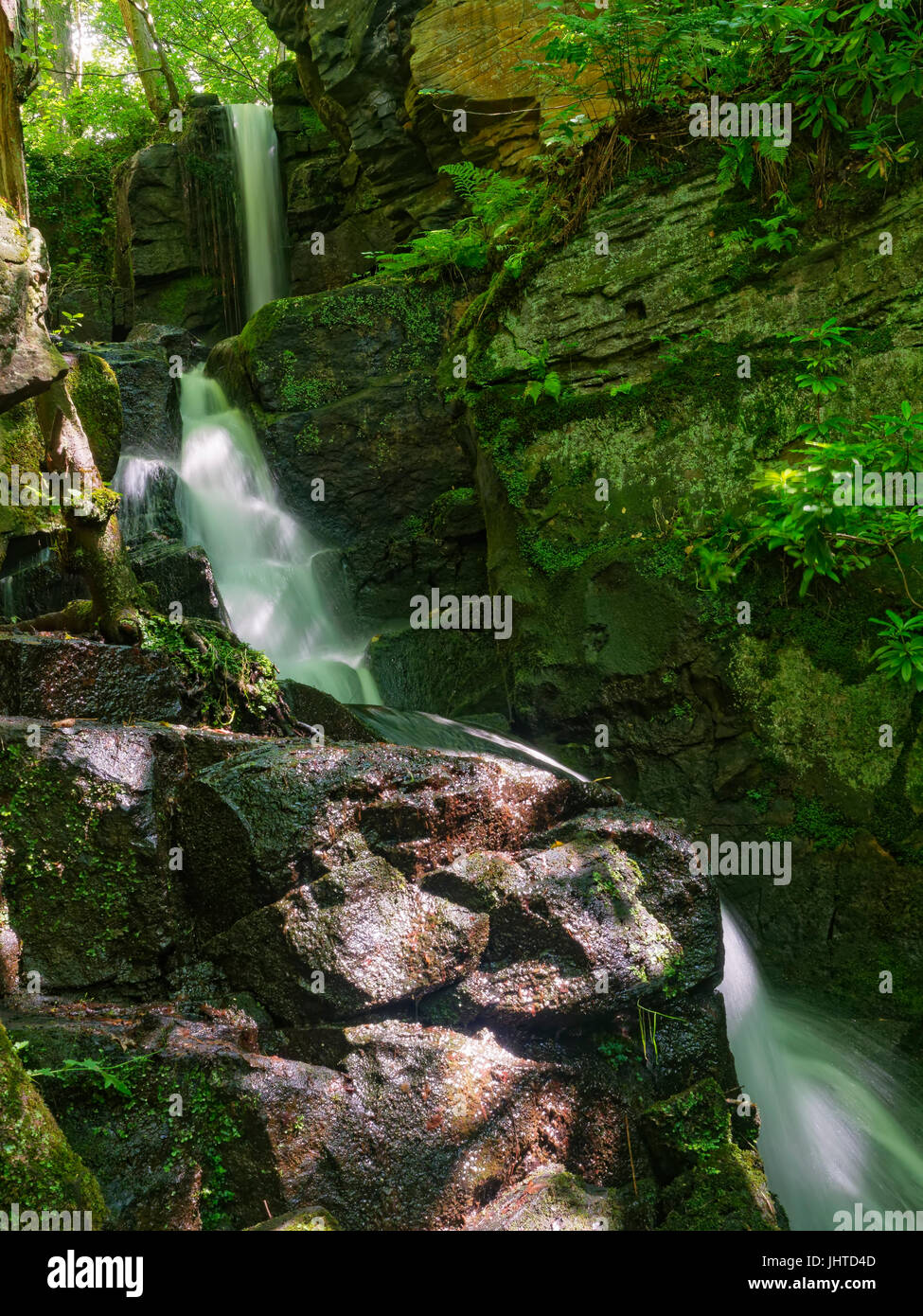 Glisten in the sun hi-res stock photography and images - Alamy