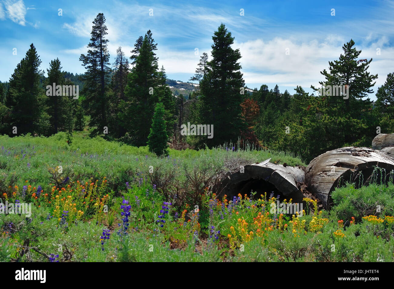 View from Warner Mountains, Modoc County, California Stock Photo - Alamy