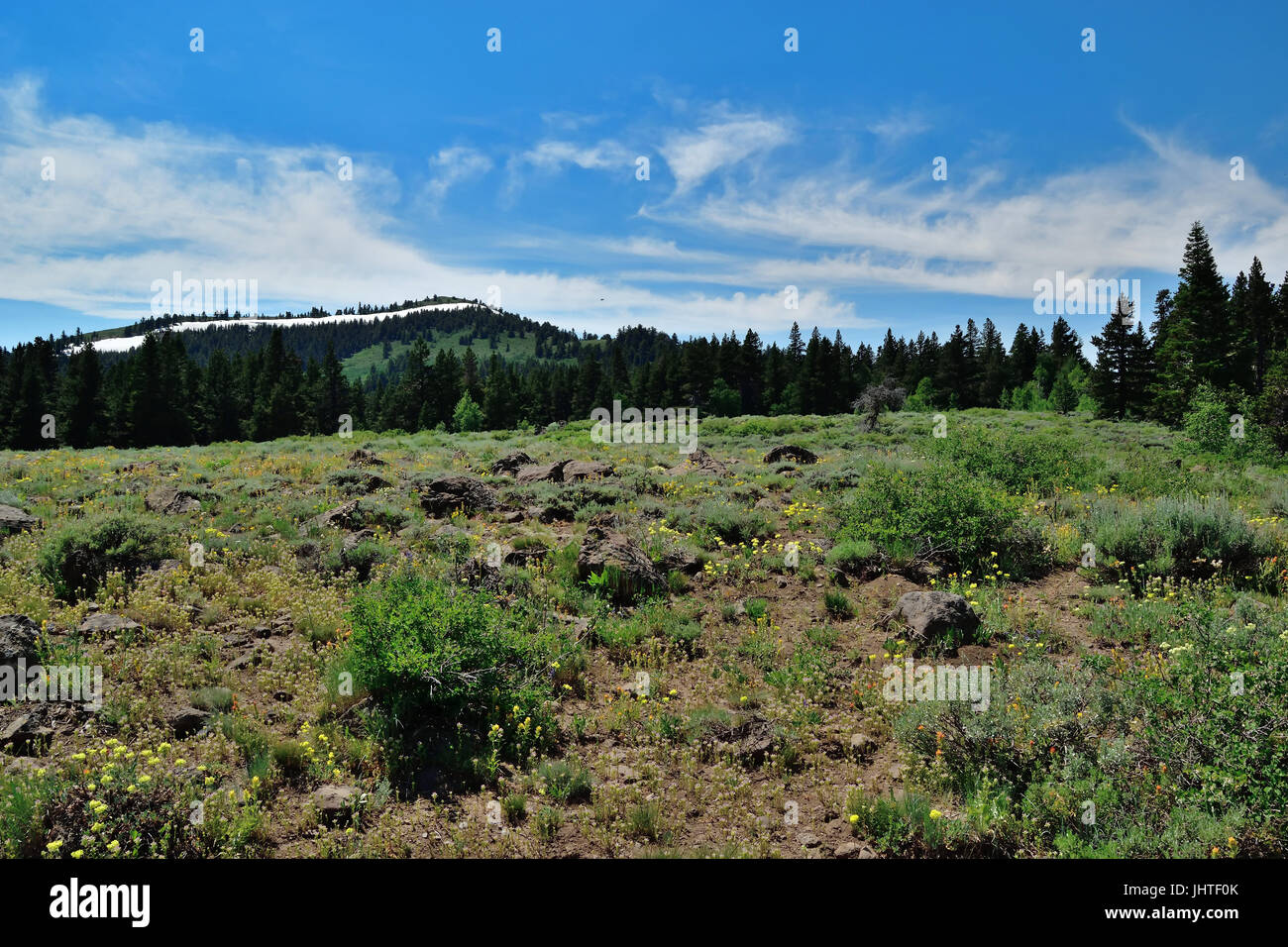 Modoc county hi-res stock photography and images - Alamy