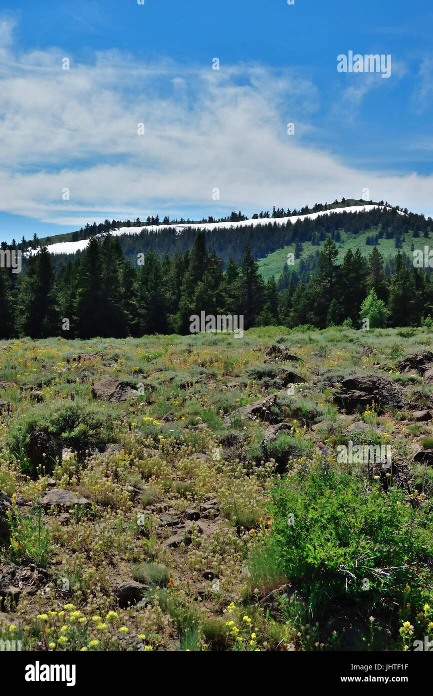 View from Warner Mountains, Modoc County, California Stock Photo - Alamy