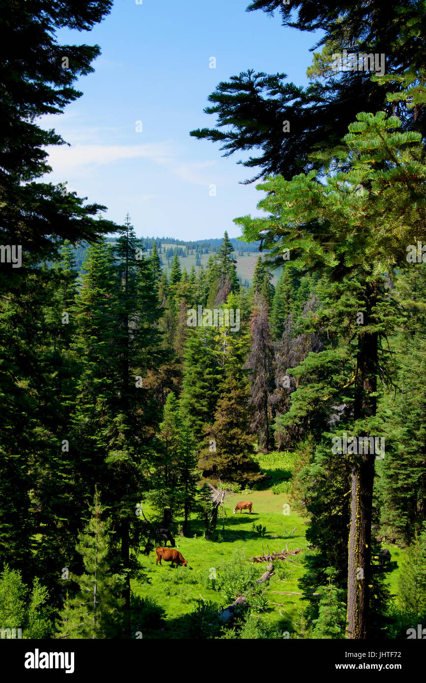View from Warner Mountains, Modoc County, California Stock Photo - Alamy