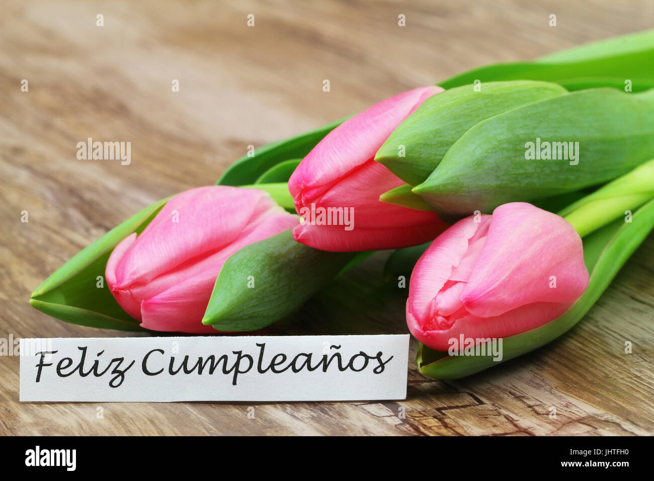 Feliz Cumpleanos (Happy Birthday in Spanish) card with pink tulips on ...