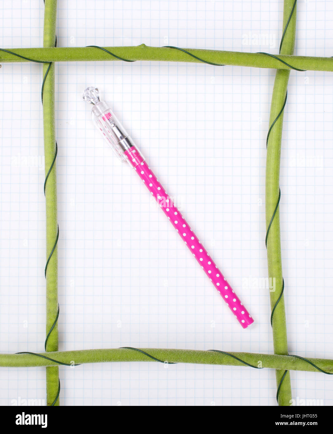 Frame of stems of flowers, notebook with pen on white background. view ...