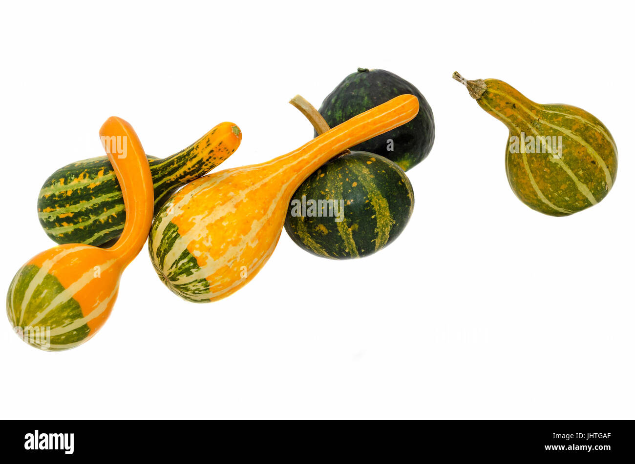Small colored pumpkins, close up, isolated, white background Stock ...