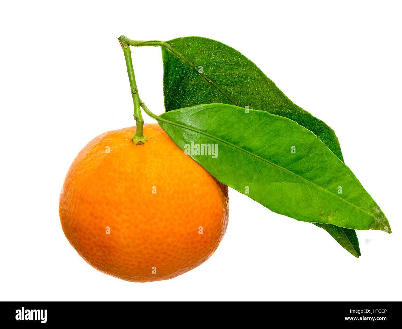 The mandarin orange (Citrus reticulata), also known as the mandarin or ...