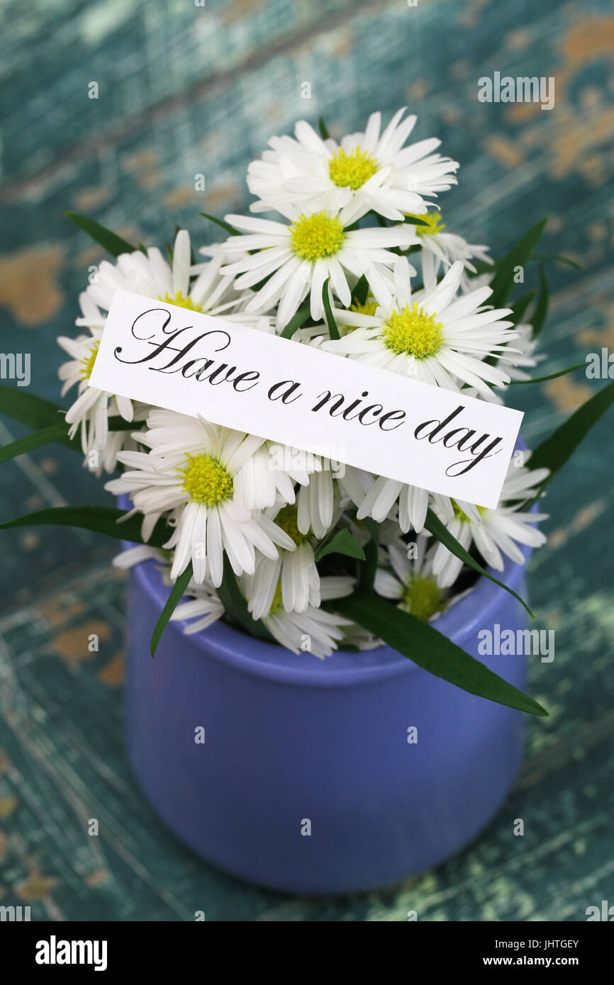 Have a nice day card with chamomile flowers in blue vase Stock Photo ...