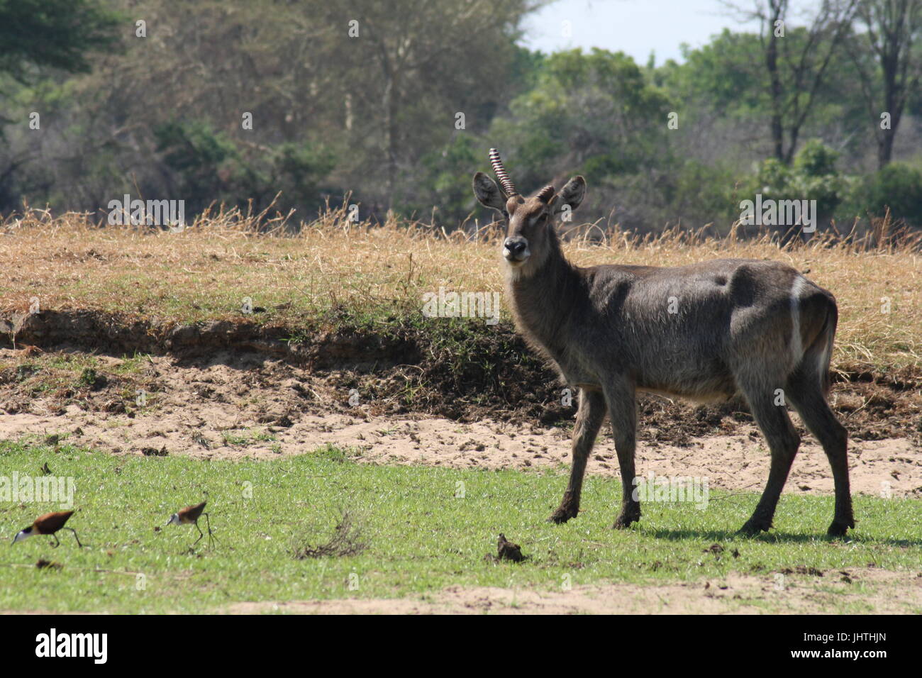 Less known places hi-res stock photography and images - Alamy