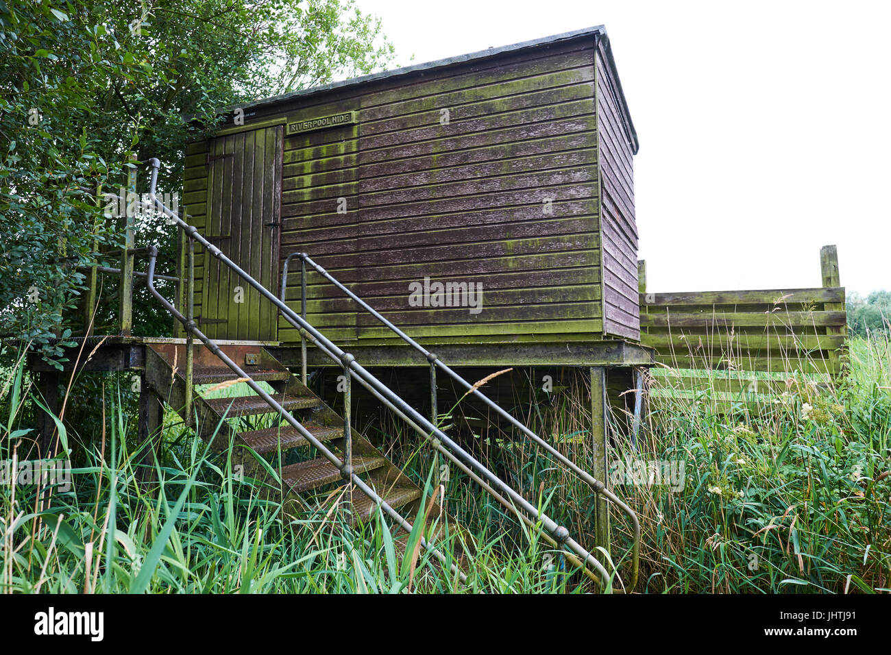 Brandon marsh nature reserve hi-res stock photography and images - Alamy
