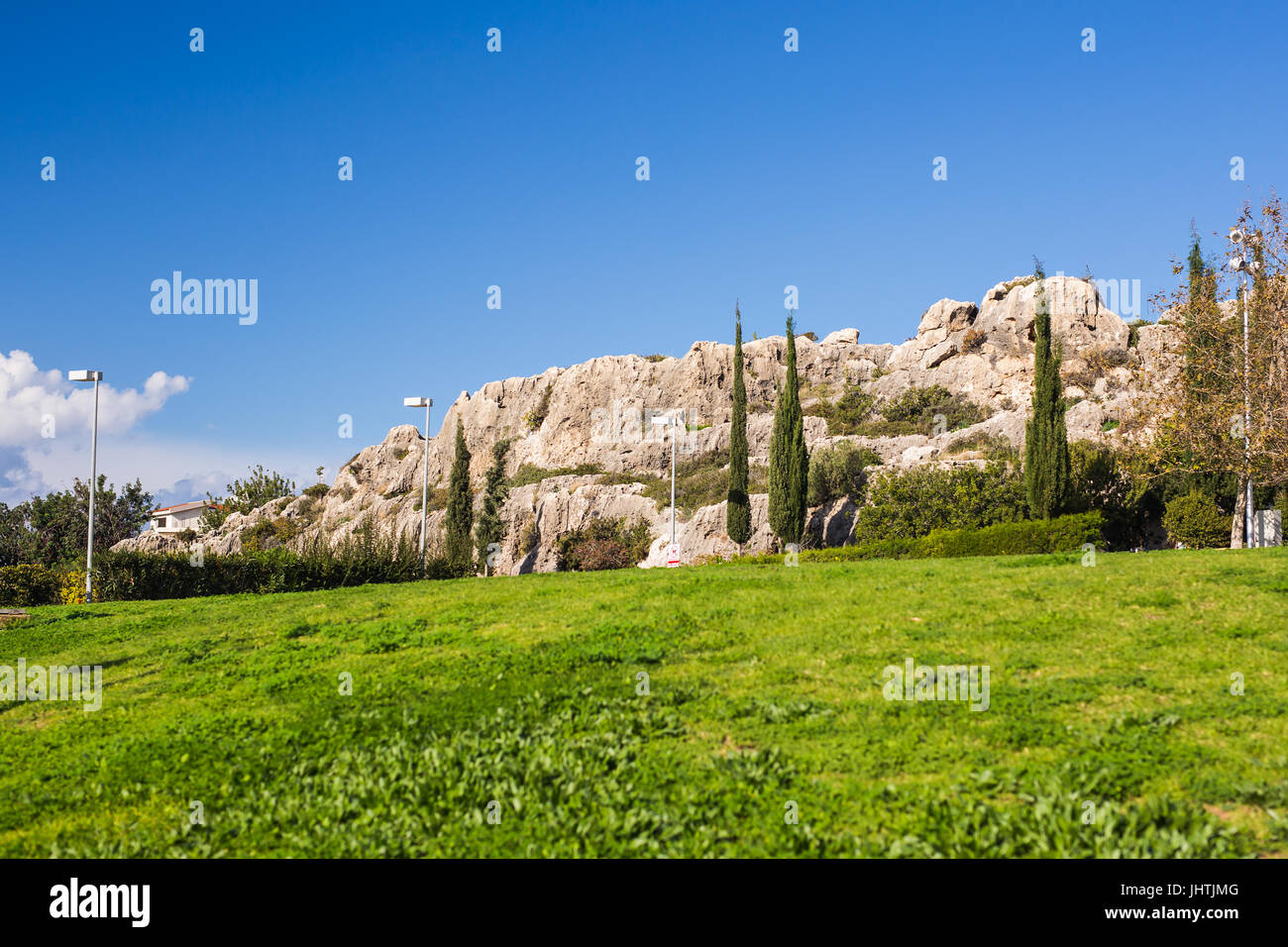 Green field with blue sky with cypress trees. Cyprus landscape in ...