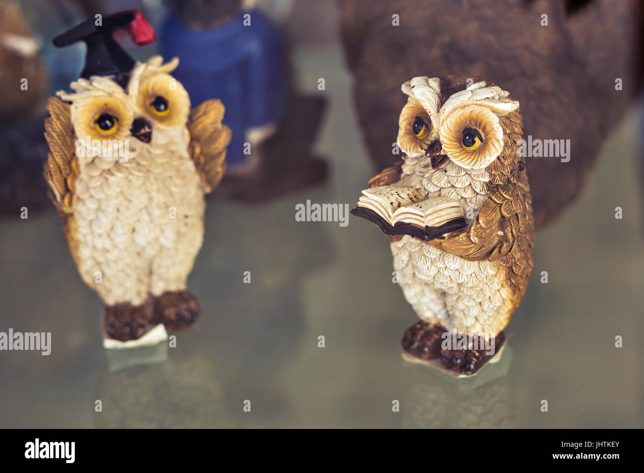 Owls showcase hi-res stock photography and images - Alamy