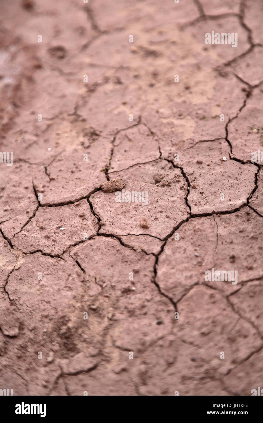 in the desert the dry ground like background texture Stock Photo - Alamy