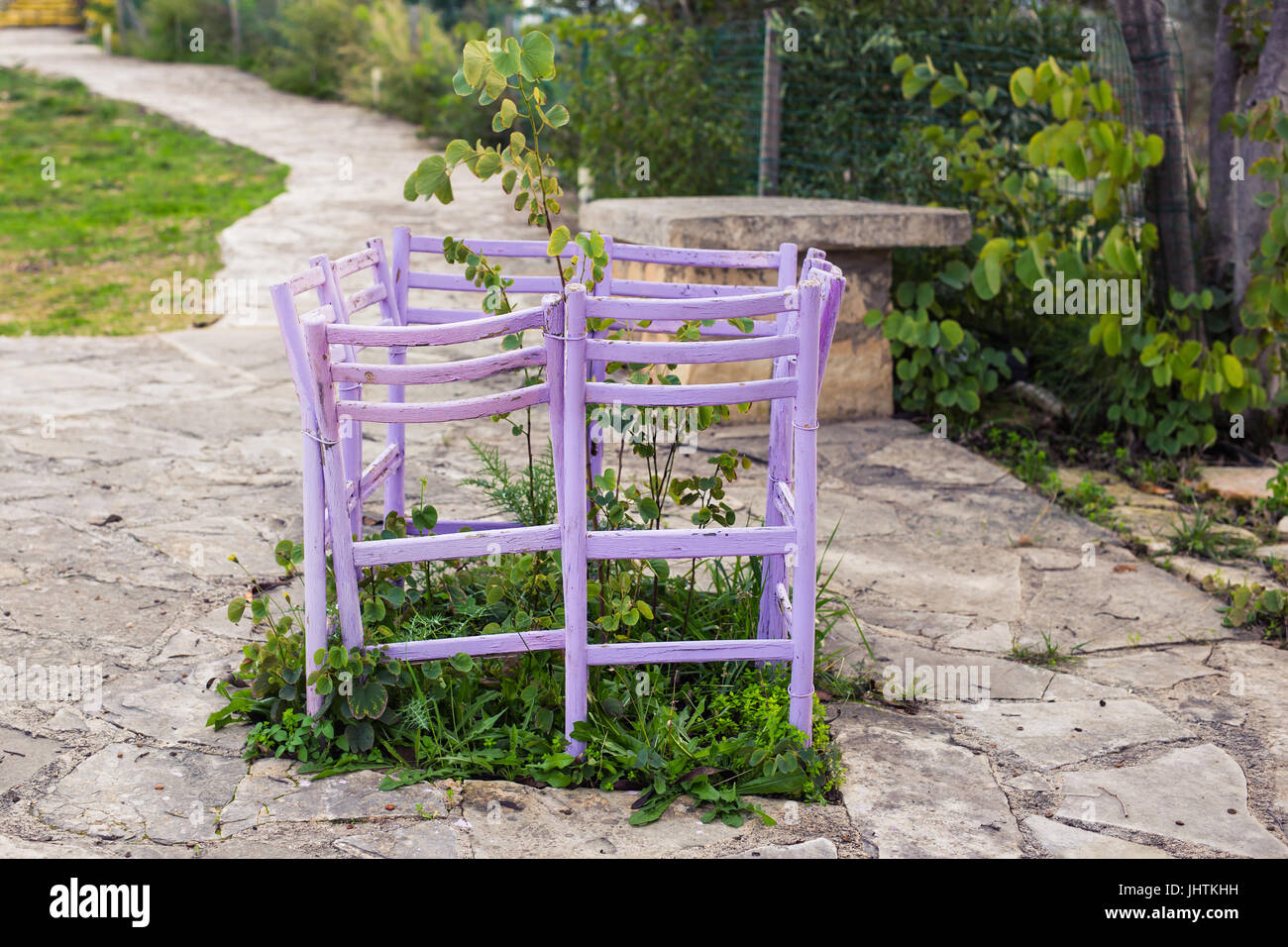 Young tree in protection cage in a field in the countryside Stock Photo ...