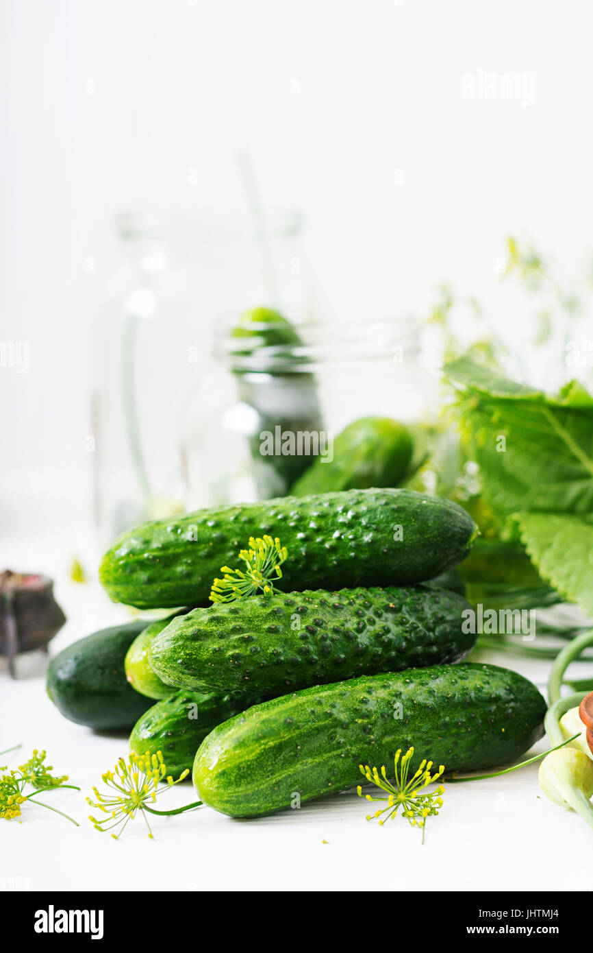Preparation pickled marinated cucumbers, herbs and salt Stock Photo - Alamy