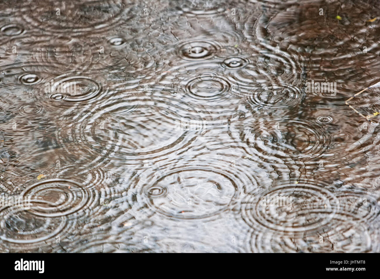 Raindrops falling on pond hi-res stock photography and images - Alamy