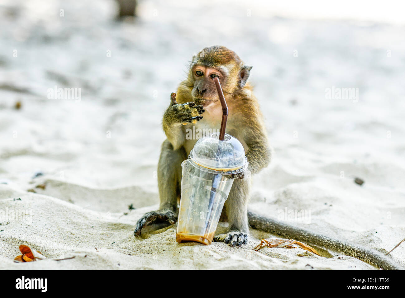 Jungle juice hi-res stock photography and images - Alamy