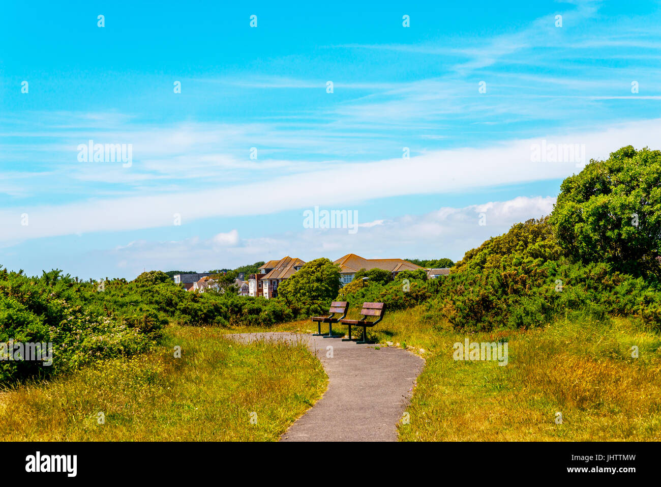 Pedestrian alley in a city park in a seaside town, green vegetation ...