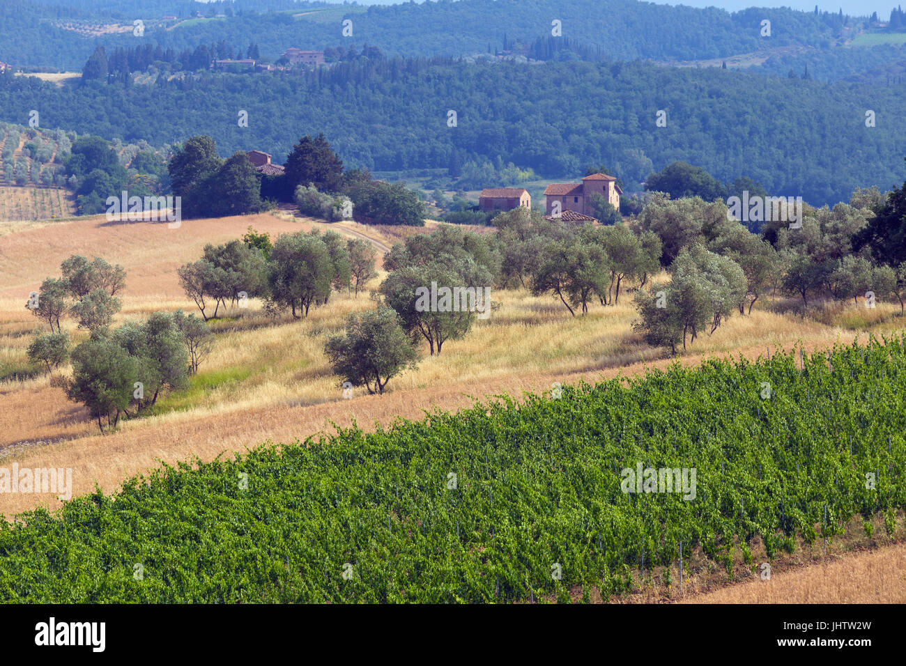 Tuscana hi-res stock photography and images - Alamy