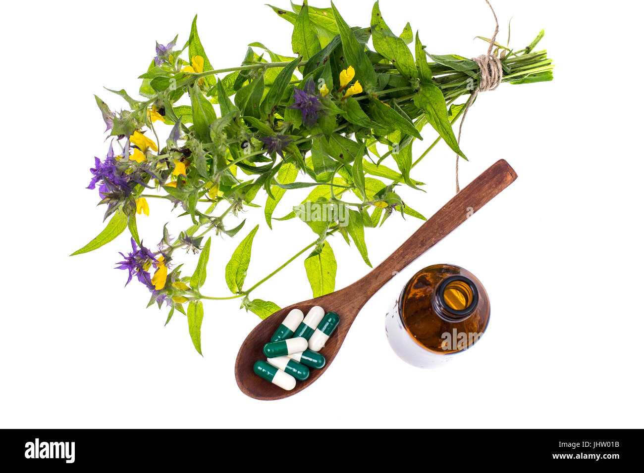 Homeopathy. Herbal capsules, medicinal plants on white background ...