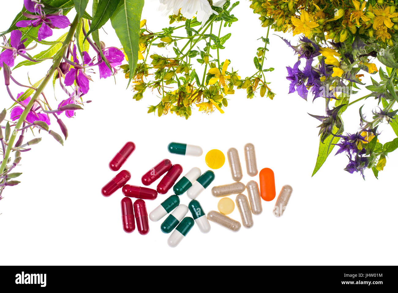 Homeopathy. Herbal capsules, medicinal plants on white background ...