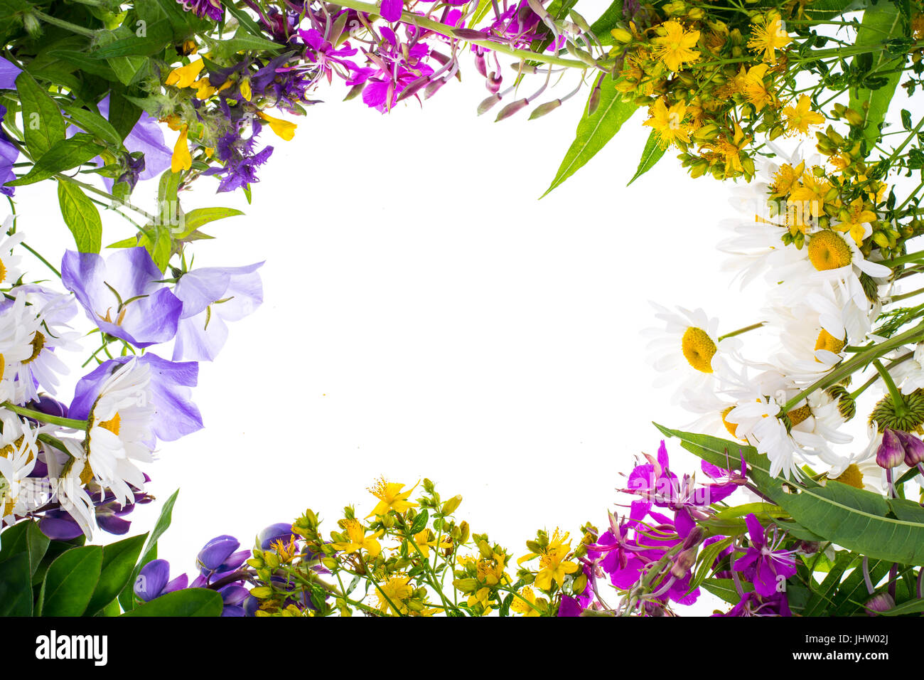 Creative layout with flowers, space for text. Studio Photo Stock Photo ...