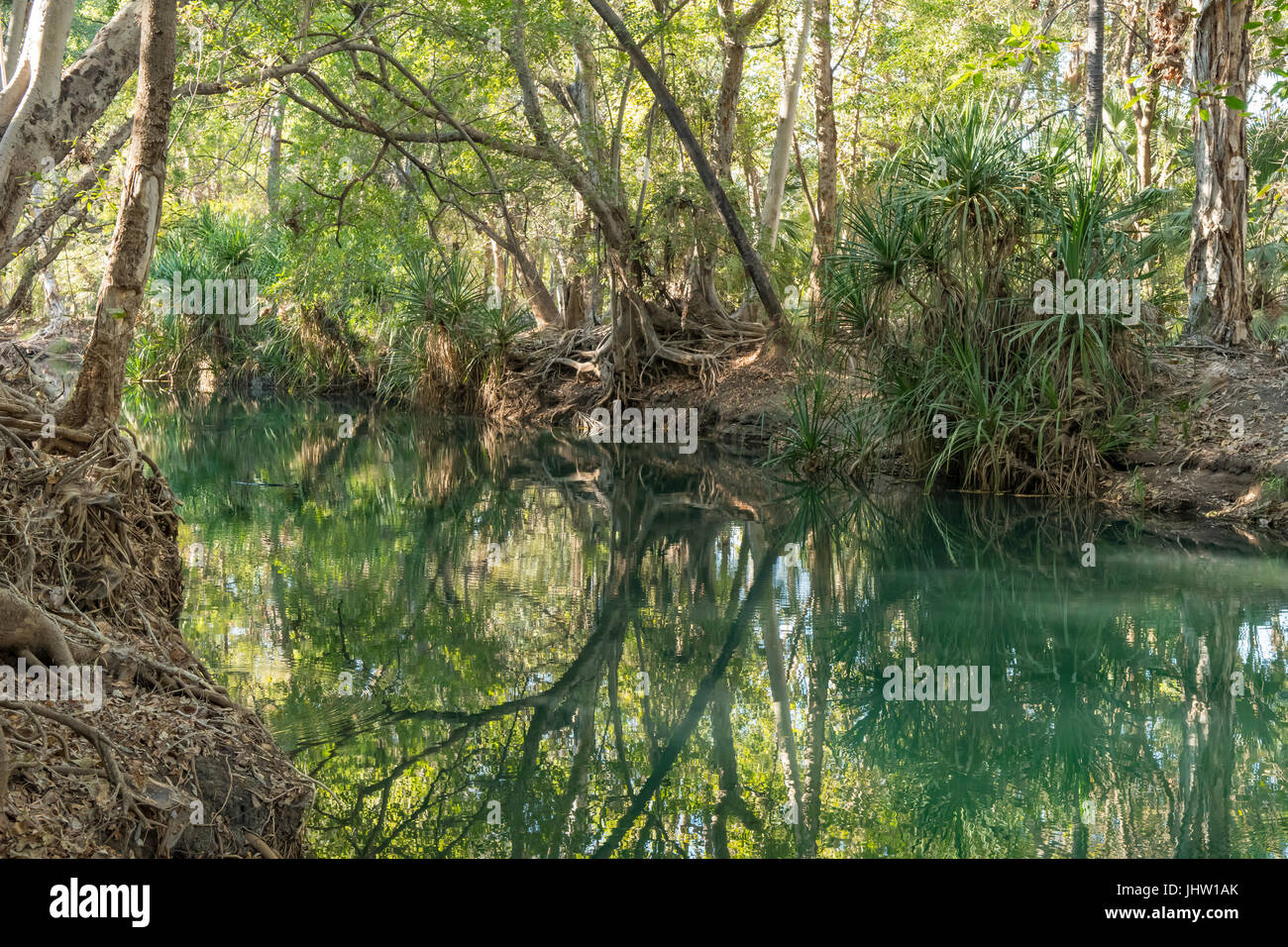 Lawn Hill Creek, Boodjamulla National Park, Queensland, Australia Stock ...