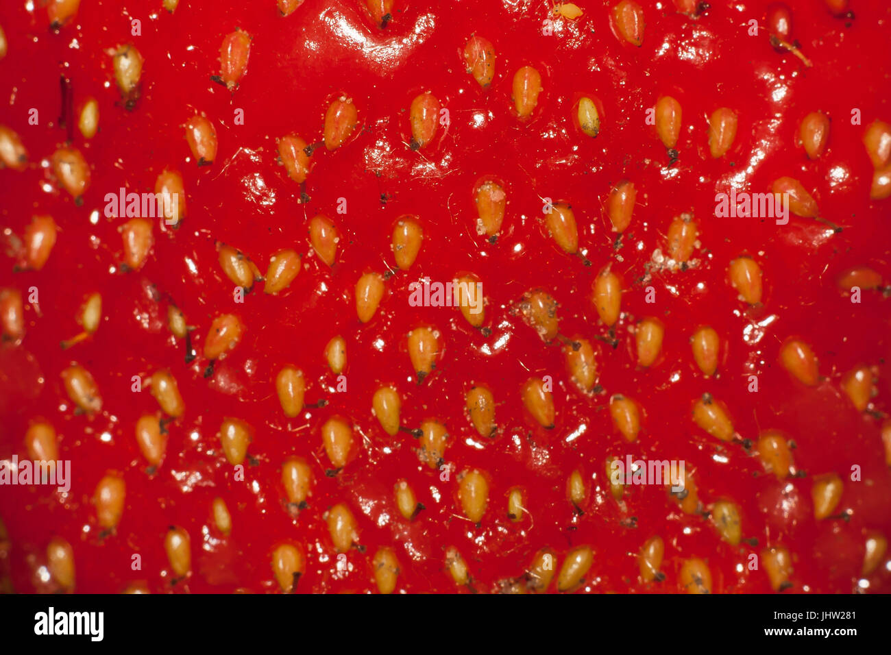 strawberry extreme closeup texture Stock Photo - Alamy
