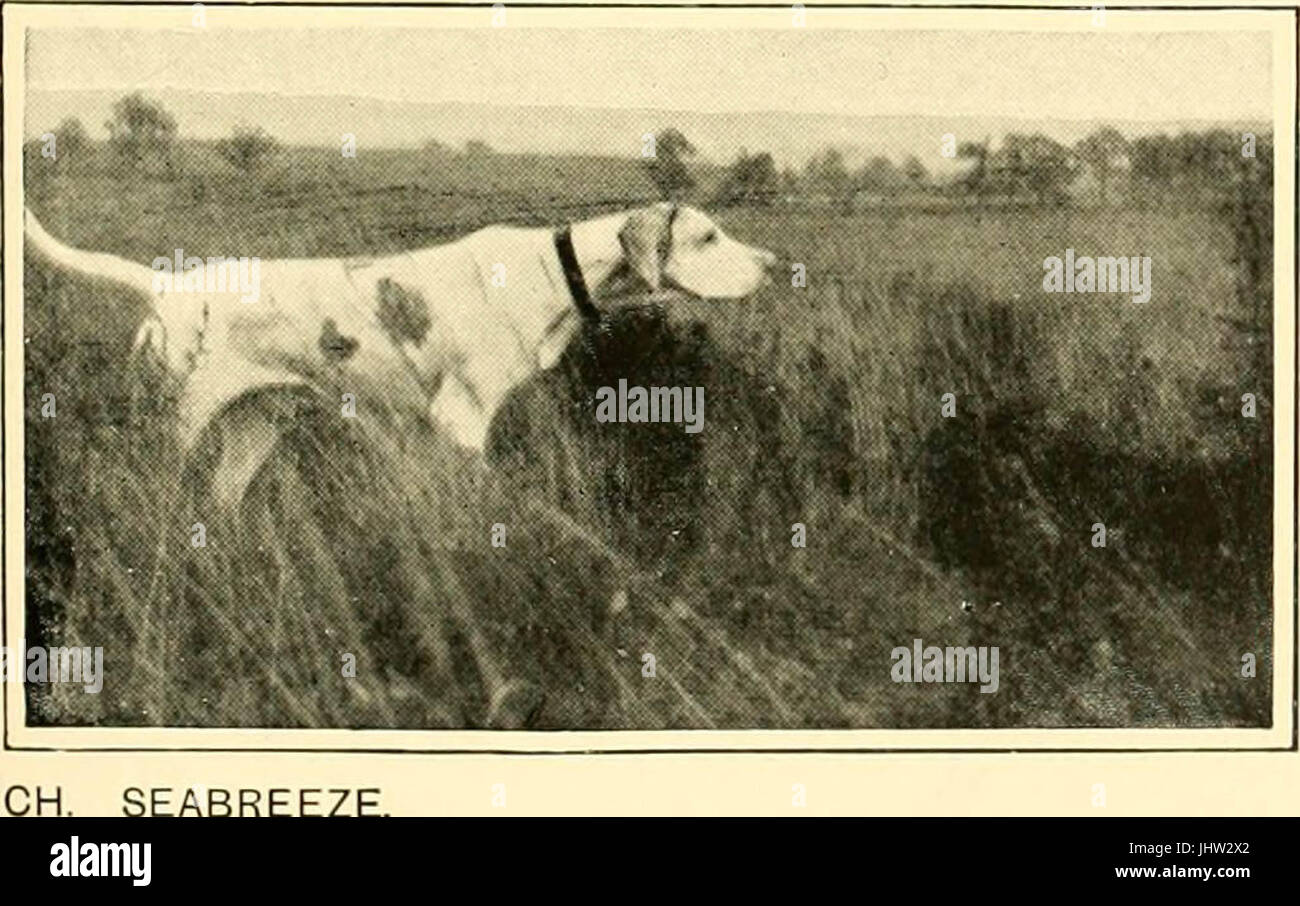 "The new book of the dog : a comprehensive natural history of British ...