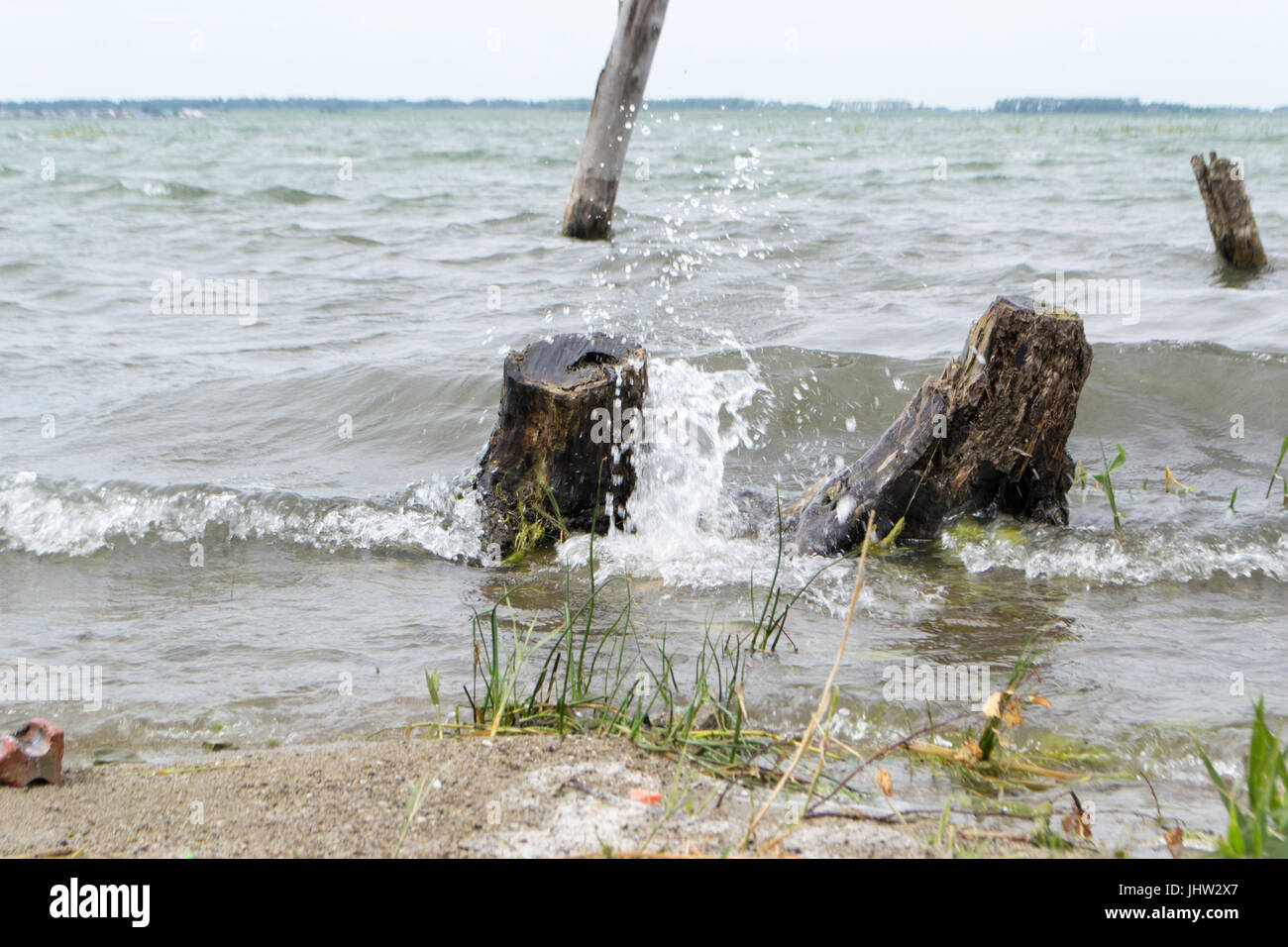 waves breaking on the old flooded trees Stock Photo - Alamy